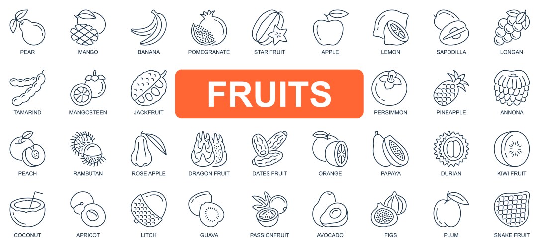 Fruits Outline Vector Images (over 110,000)