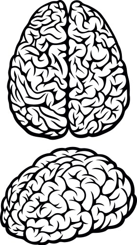Brain Vector Images (over 260,000)
