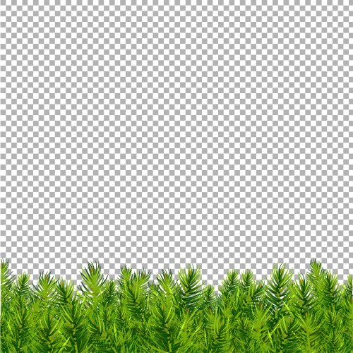 Transparent Border Vector Images (over 42,000)