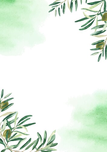 Floral background card template with green olive Vector Image