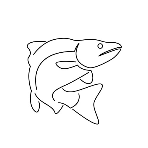 Salmon fish outline Royalty Free Vector Image - VectorStock