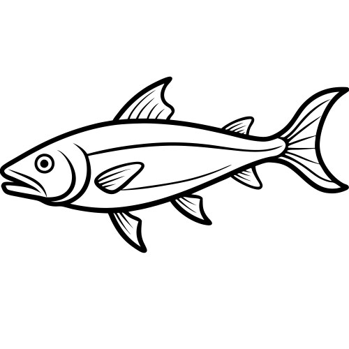 Cobia Fish Vector Images (32)