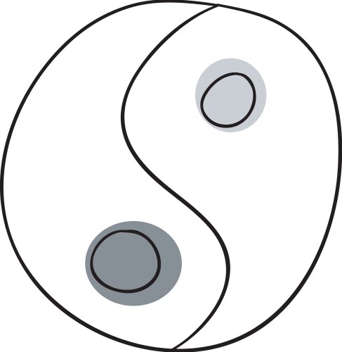Yin yang outline Vector Images & Graphics for Commercial Use | VectorStock