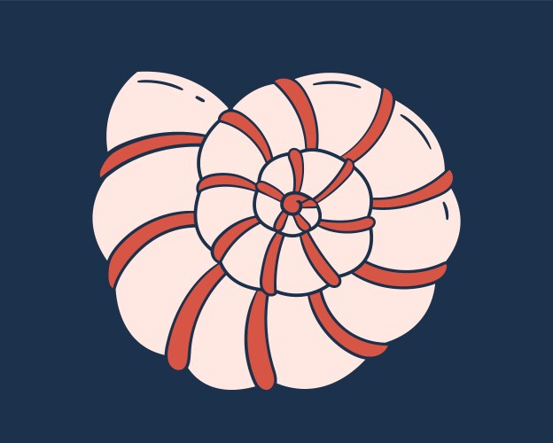 Seashell doodle concept Royalty Free Vector Image