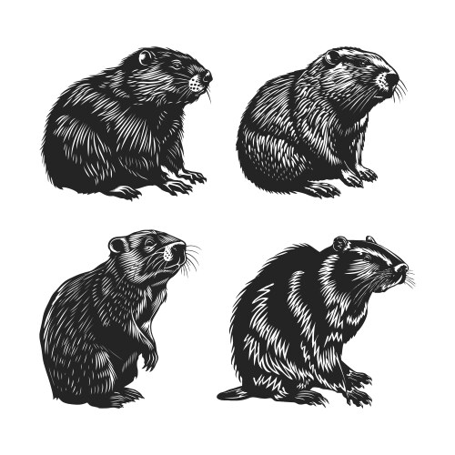 Beaver Clipart Vector Images (over 1,300)