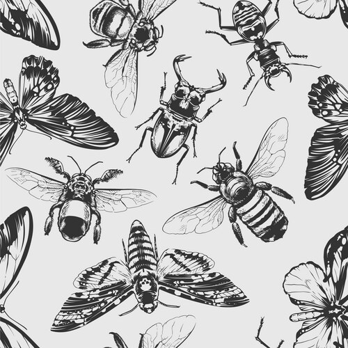 Seamless pattern with butterflies black and white Vector Image