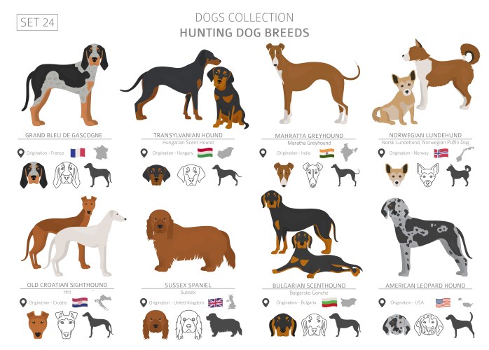 Horses and hunting dogs Royalty Free Vector Image