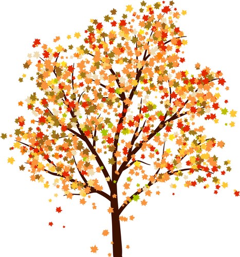 Maple tree on white Royalty Free Vector Image - VectorStock