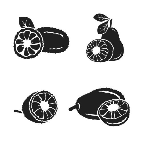 Jackfruit Background Vector Images (over 760)