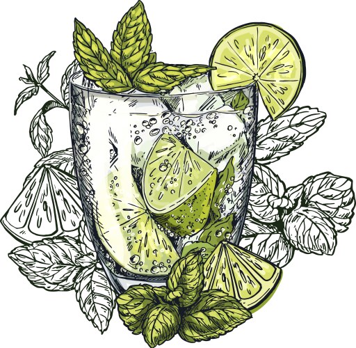 Mojito Drawing Vector Images (over 3,000)
