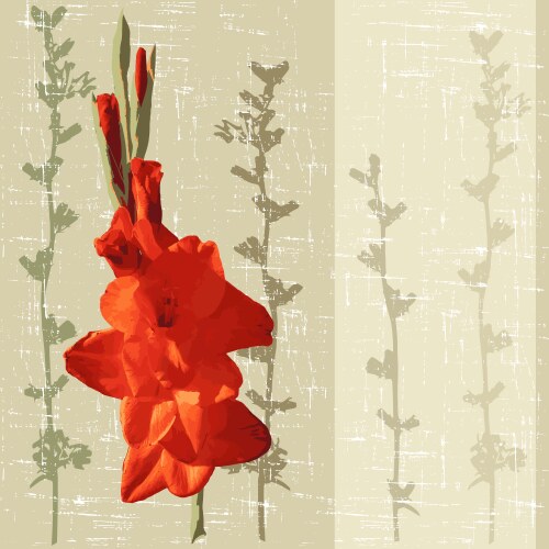 Gladiolus Vector Images (over 770)