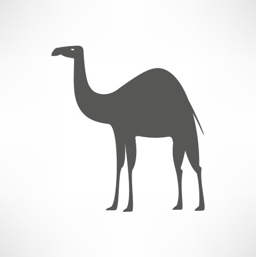 Camel Royalty Free Vector Image - VectorStock