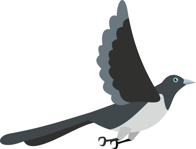 Magpie Vector Images (over 1,200)