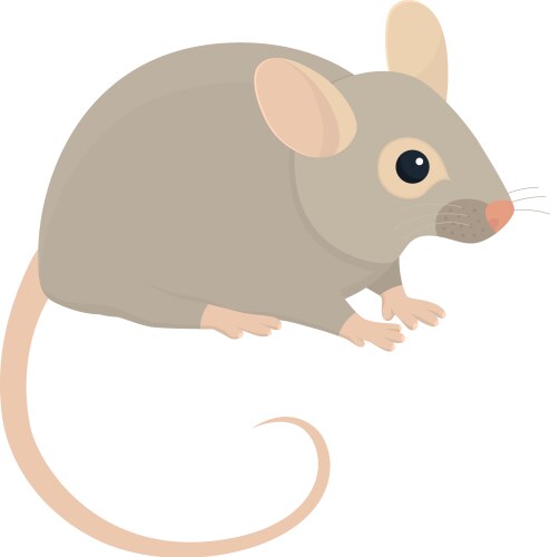 Mouse Vector Images (over 130,000)
