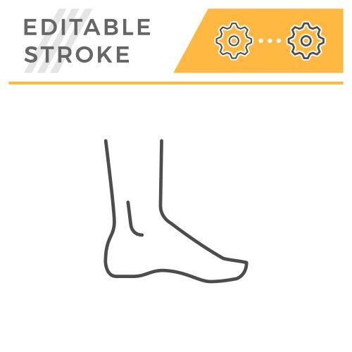 Human leg bones icon Royalty Free Vector Image