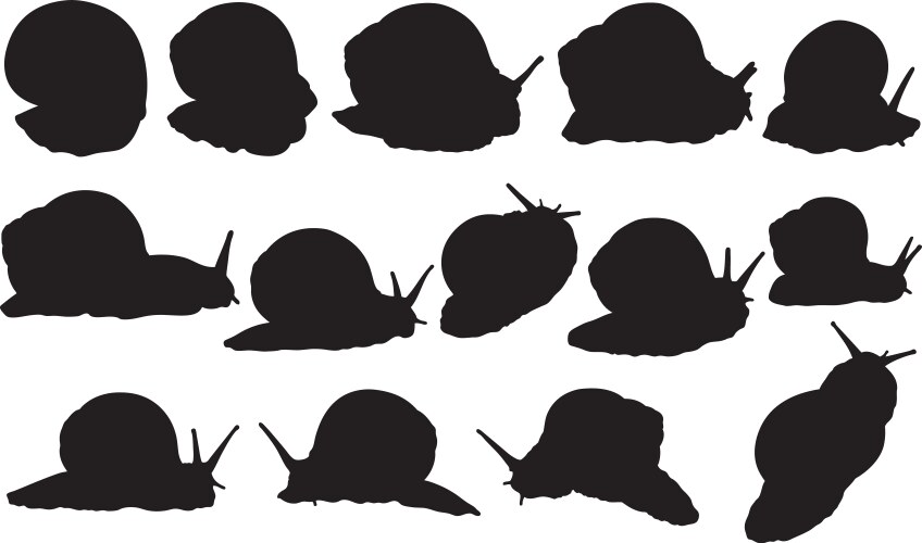 Snail Vector Images (over 43,000)