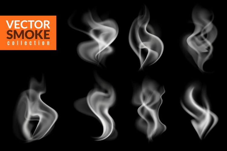 Realistic smoke steam collection transparent Vector Image