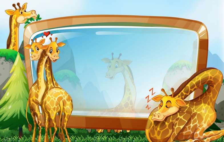 Board template with three giraffes in park Vector Image