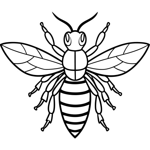 Bee Line Drawing Vector Images (over 6,500)