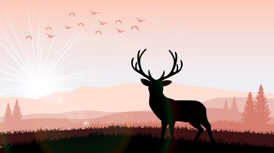 Deer at sunset Royalty Free Vector Image - VectorStock