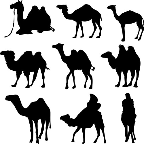 Camel Outline Vector Images (over 3,900)