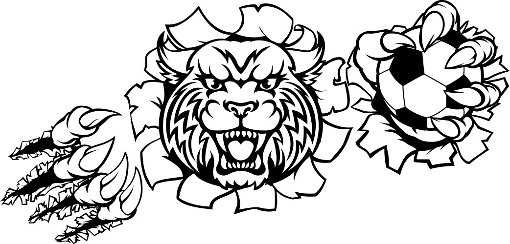 Wildcat Vector Images (over 12,000)