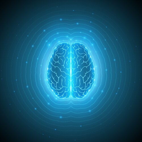 Human brain with blue and purple neural Royalty Free Vector