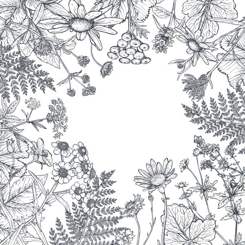 Floral frame with bouquets of hand drawn Vector Image