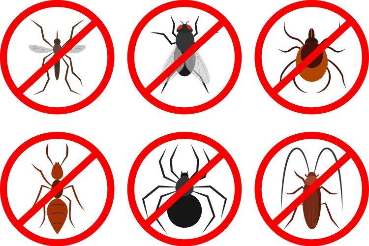 Insect Vector Images (over 210,000)