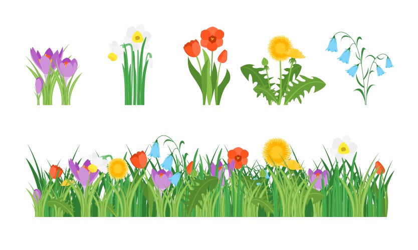 Early spring garden blossom flowers grass Vector Image