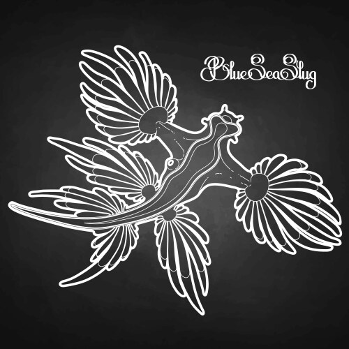 Sea Slug Vector Images (over 490)