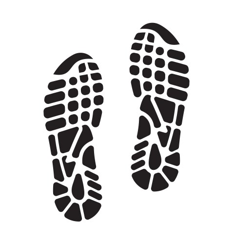 Foot arch types Royalty Free Vector Image - VectorStock