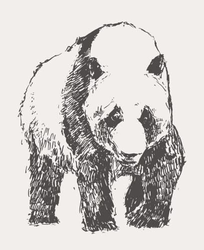 Panda Outline Vector Images (over 4,100)