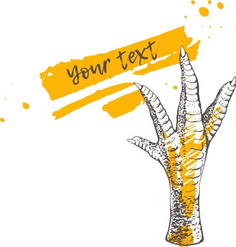 Turkey Feet Symbol Vector Images (86)