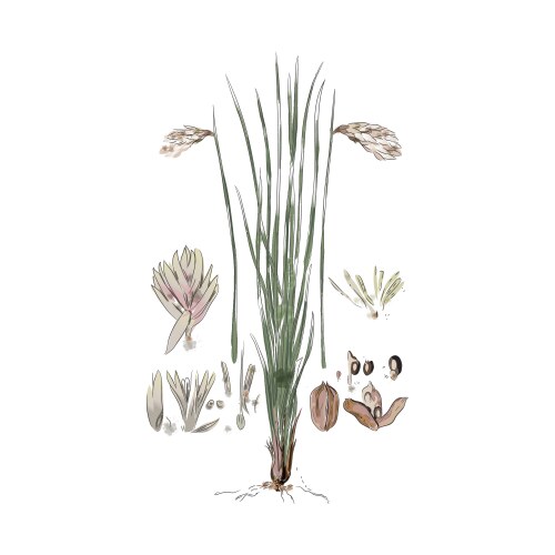 Study Vector Images (over 610,000)