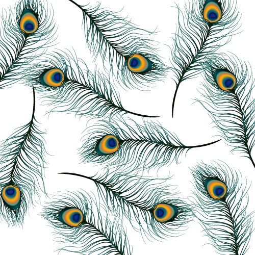Peacock feathers seamless pattern Royalty Free Vector Image