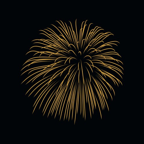 Gold firework isolated black background golden Vector Image