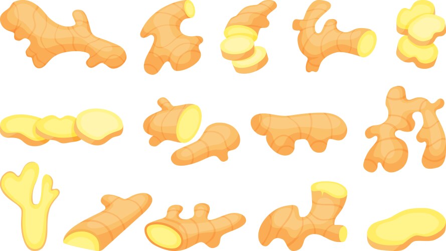 Cartoon Plant Root Vector Images (over 13,000)