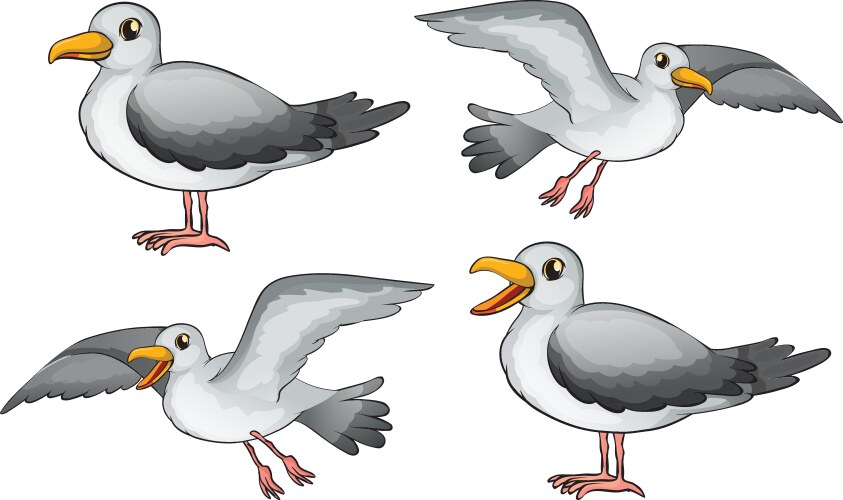 Set of four birds Royalty Free Vector Image - VectorStock