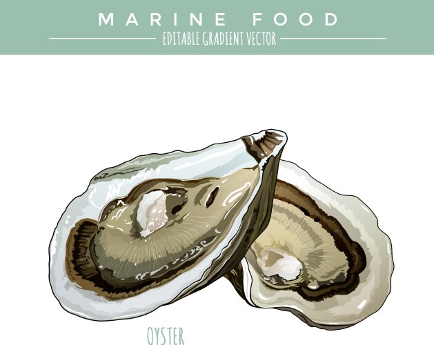 Oyster Vector Images (over 17,000)