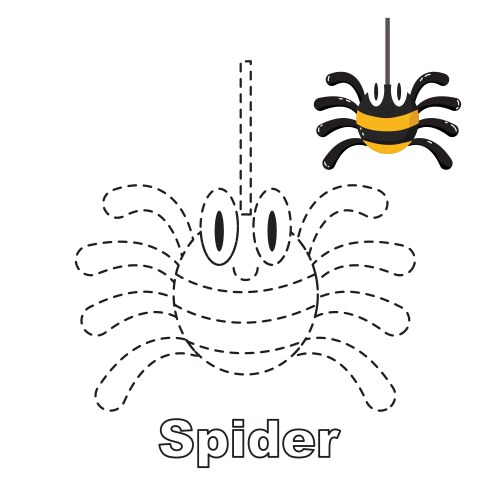 Jumping Spider Vector Images (over 140)