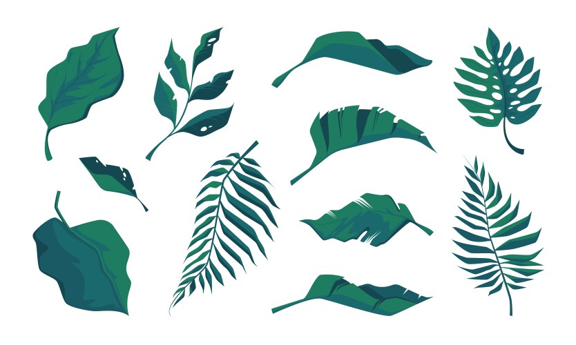 Botanical Leaves Vector Images (over 170,000)