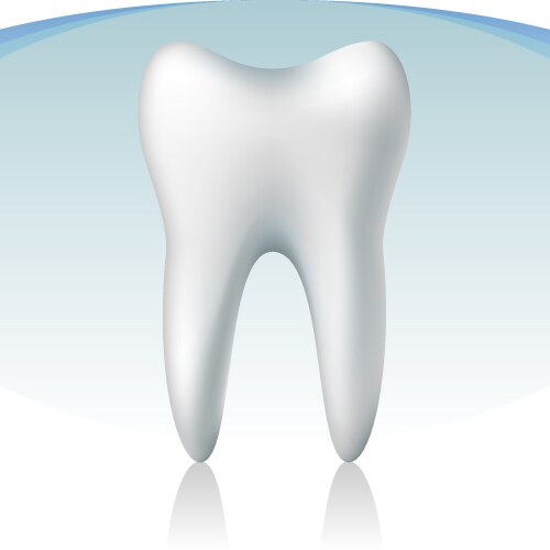 Tooth Vector Images (over 150,000)