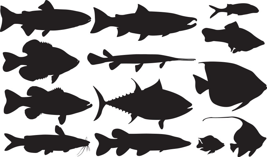 Fish Outline Vector Images (over 110,000)