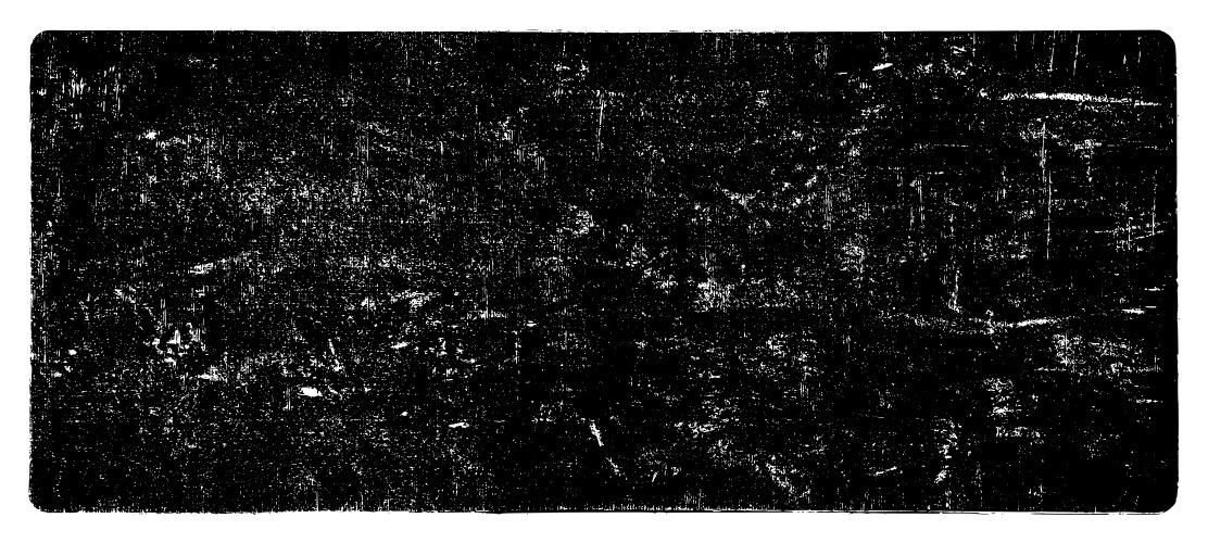Distressed black texture Royalty Free Vector Image