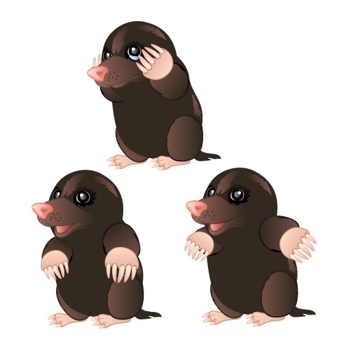 Mole Vector Images (over 3,500)