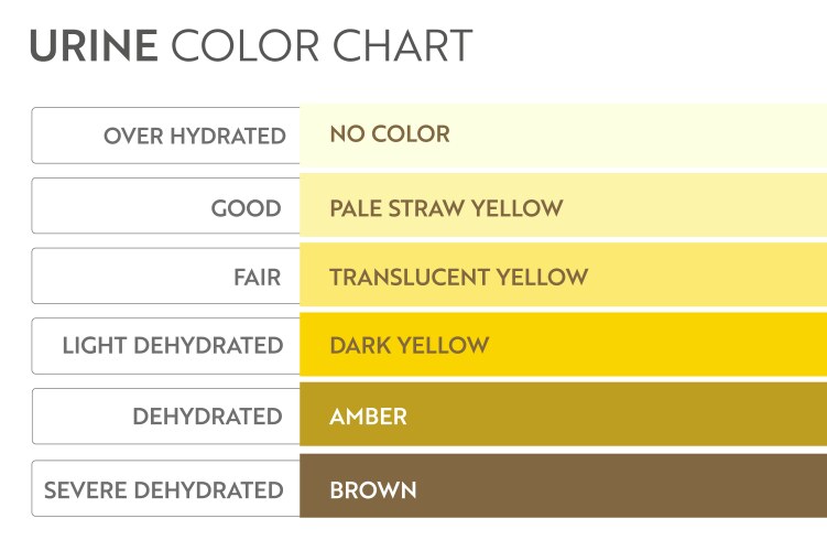 Urine color chart in test tubes medical Royalty Free Vector