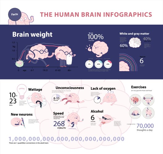 Brain infographic conceptual thinking learning Vector Image Brain infographic conceptual thinking learning Vector Image