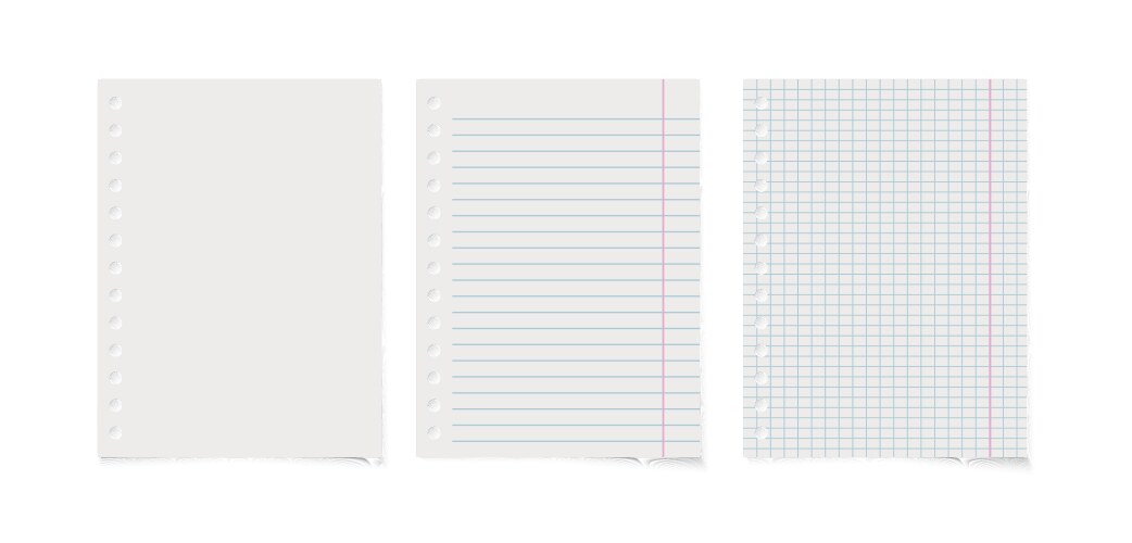 School notebook paper sheet exercise book page Vector Image