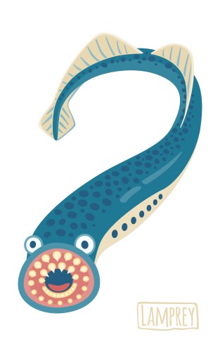 Lamprey Vector Images (over 120)